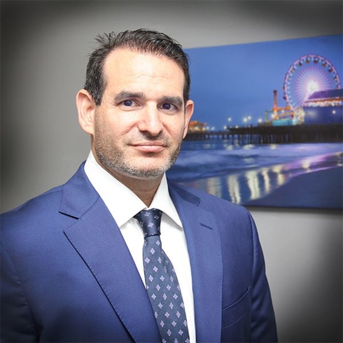 Louis P. Winner | Winner Law Group, LLC